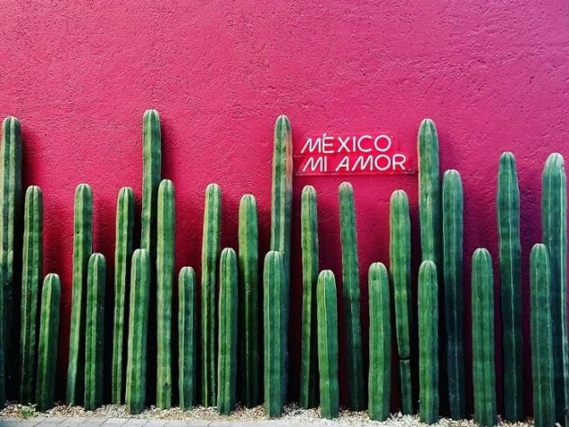 El simbolismo del rosa mexicano, mi color Mexicano