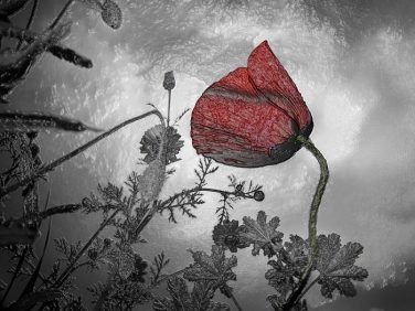 ¿Cuáles son los principales tratamientos que se dan en postimpresión?